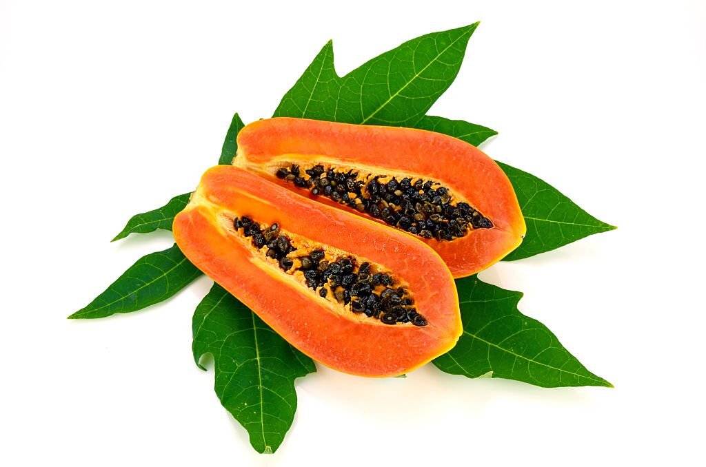 Papain | Food Enzymes | Detergent Enzymes | CapriEnzymes | TamilCrew Global